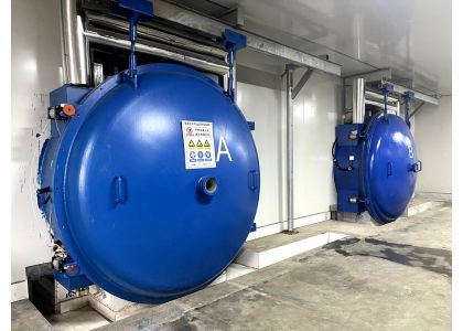 what is freeze-drying